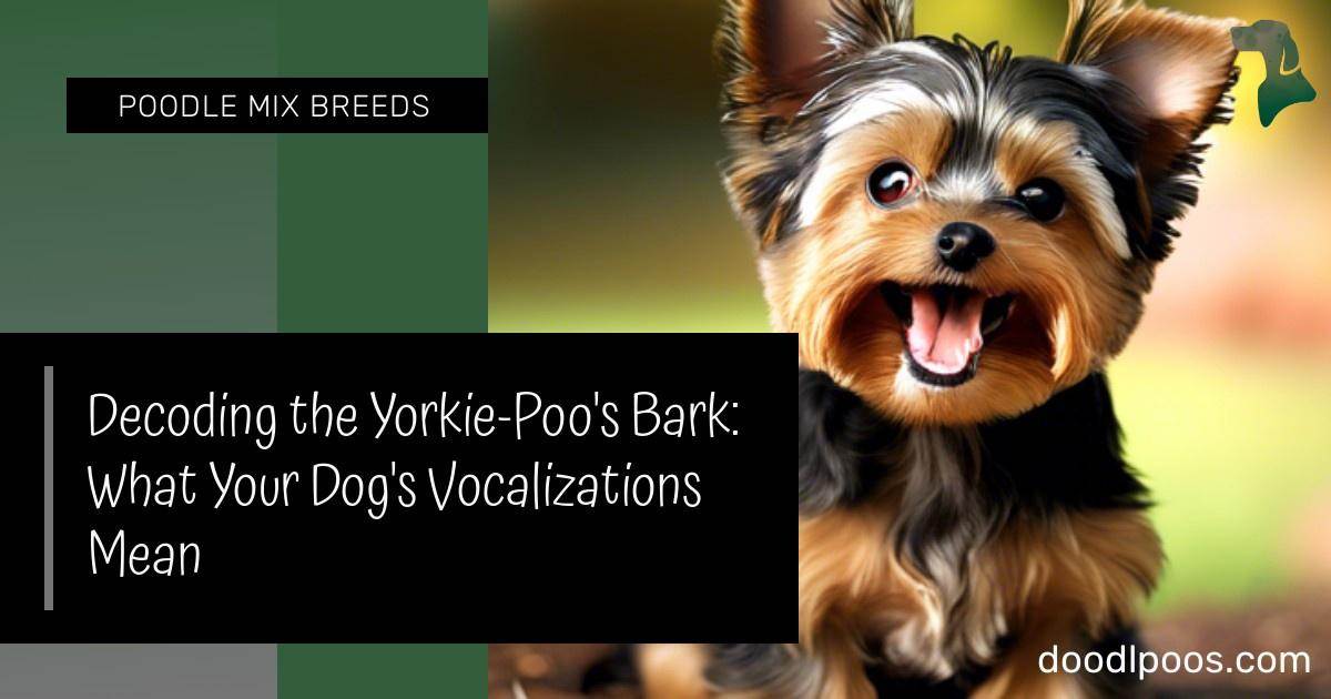 Decoding the Yorkie-Poo's Bark: What Your Dog's Vocalizations Mean ...