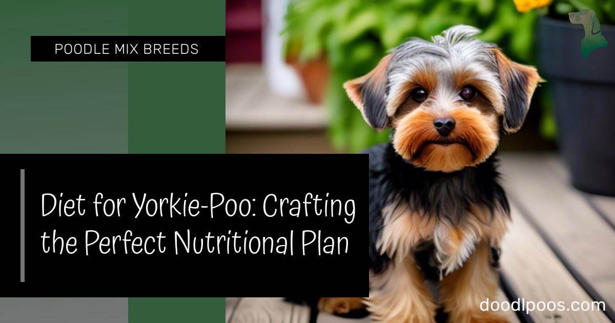 Diet for Yorkie-Poo: Crafting the Perfect Nutritional Plan - Doodles n ...