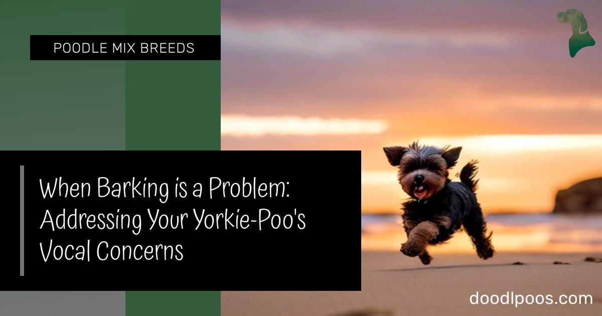 When Barking is a Problem: Addressing Your Yorkie-Poo's Vocal Concerns - Doodles n Poodles