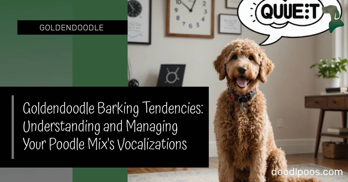 Goldendoodle Barking Tendencies: Understanding and Managing Your Poodle ...