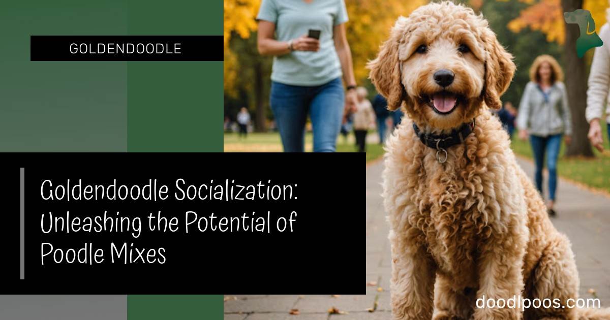 Goldendoodle Socialization: Unleashing the Potential of Poodle Mixes