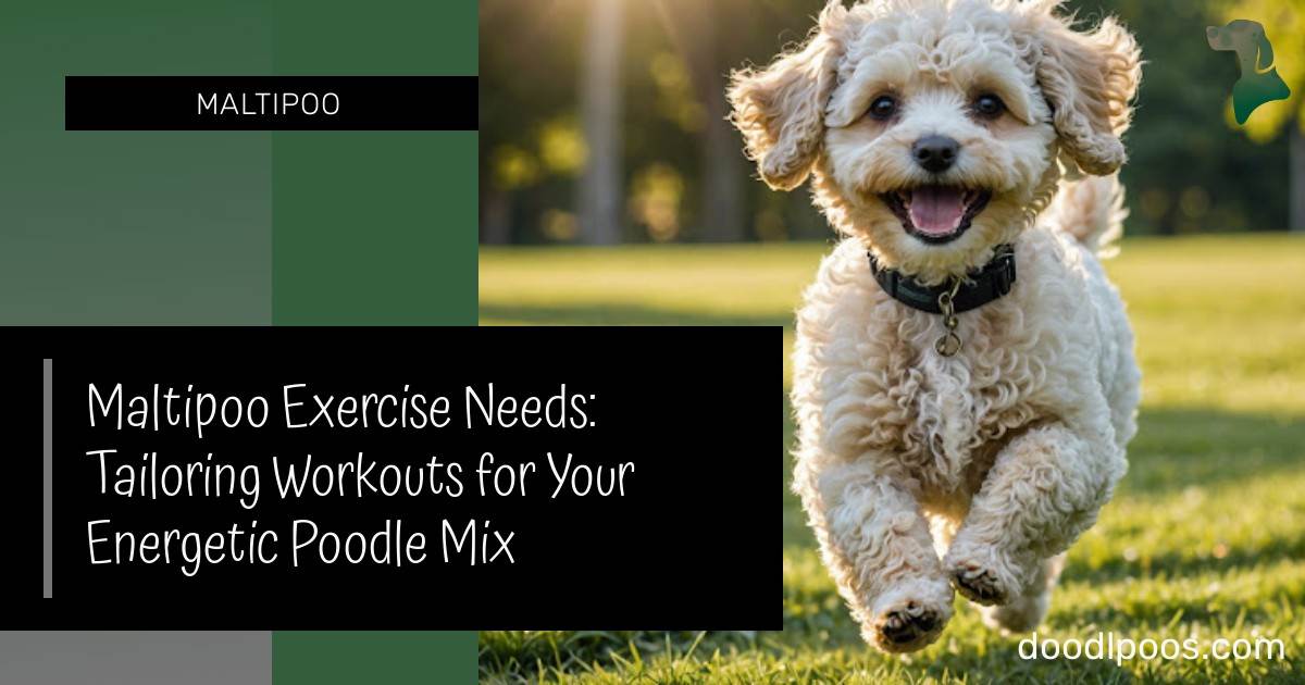 Maltipoo Exercise Needs: Tailoring Workouts for Your Energetic Poodle Mix