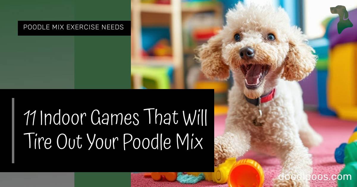 11 Indoor Games That Will Tire Out Your Poodle Mix
