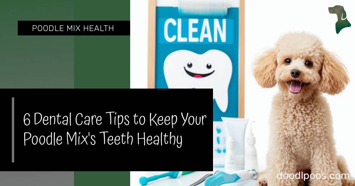 6 Dental Care Tips to Keep Your Poodle Mix's Teeth Healthy