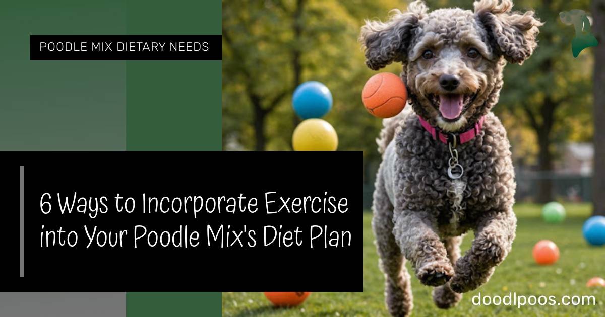 6 Ways to Incorporate Exercise into Your Poodle Mix's Diet Plan