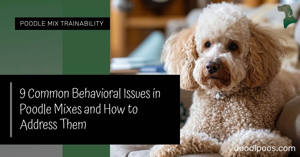 9 Common Behavioral Issues in Poodle Mixes and How to Address Them