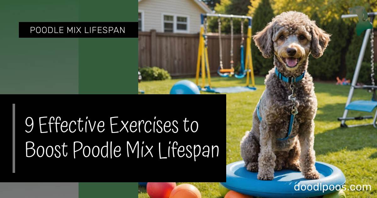 9 Effective Exercises to Boost Poodle Mix Lifespan