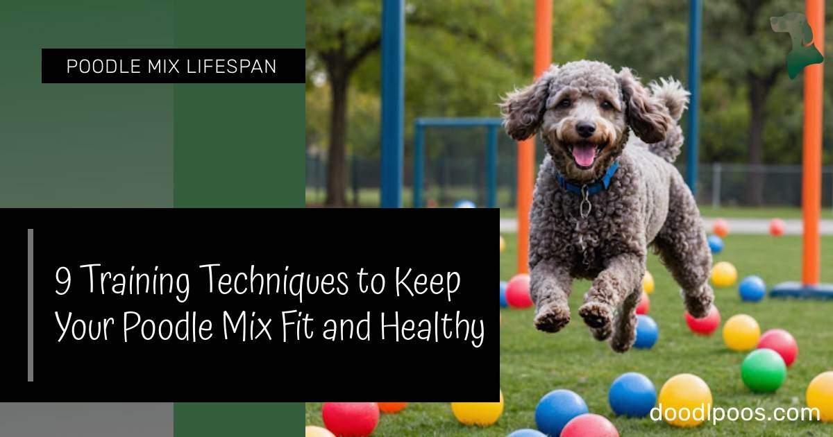 9 Training Techniques to Keep Your Poodle Mix Fit and Healthy