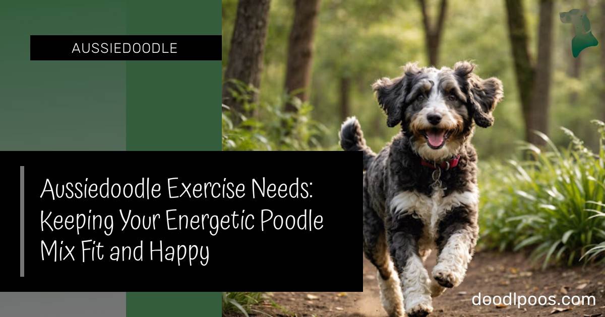 Aussiedoodle Exercise Needs: Keeping Your Energetic Poodle Mix Fit and ...