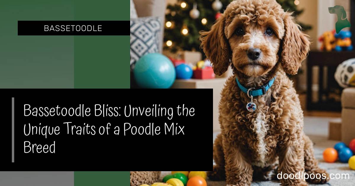 Bassetoodle Trainability: Unveiling the Unique Traits of a Poodle Mix Breed