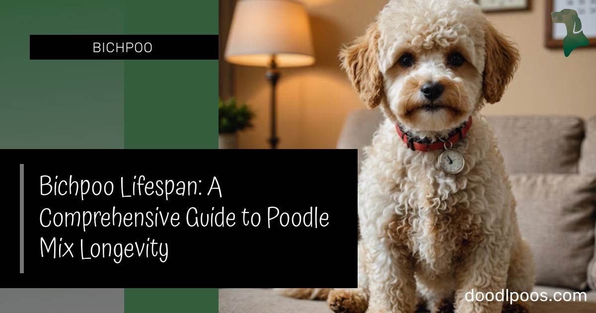 Bichpoo Lifespan: A Comprehensive Guide to Poodle Mix Longevity