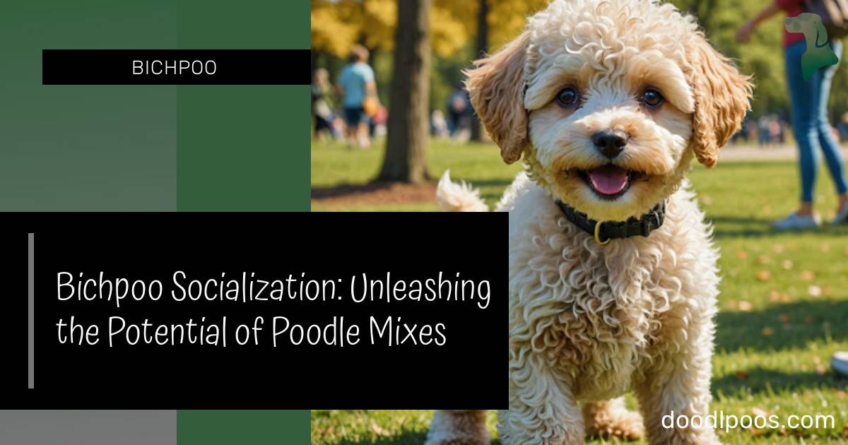 Bichpoo Socialization: Unleashing the Potential of Poodle Mixes