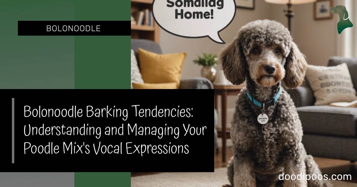 Bolonoodle Barking Tendencies: Understanding and Managing Your Poodle ...