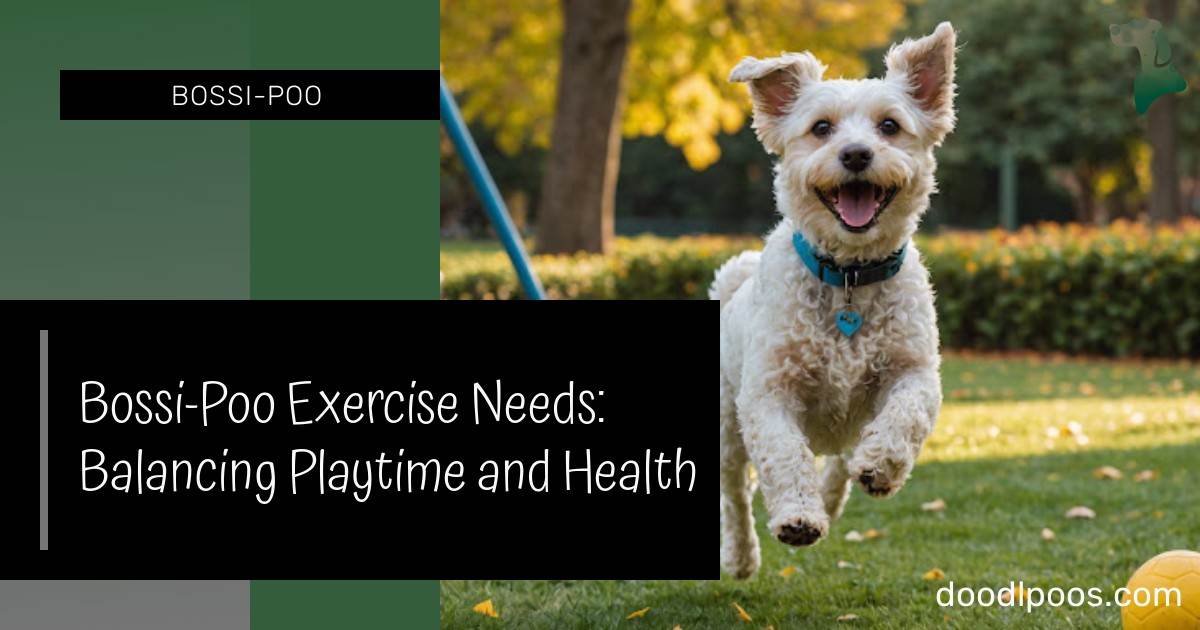 Bossi-Poo Exercise Needs: Balancing Playtime and Health
