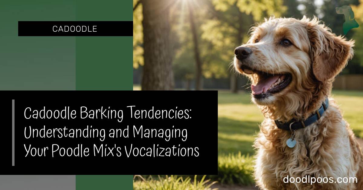 Cadoodle Barking Tendencies: Understanding and Managing Your Poodle Mix ...