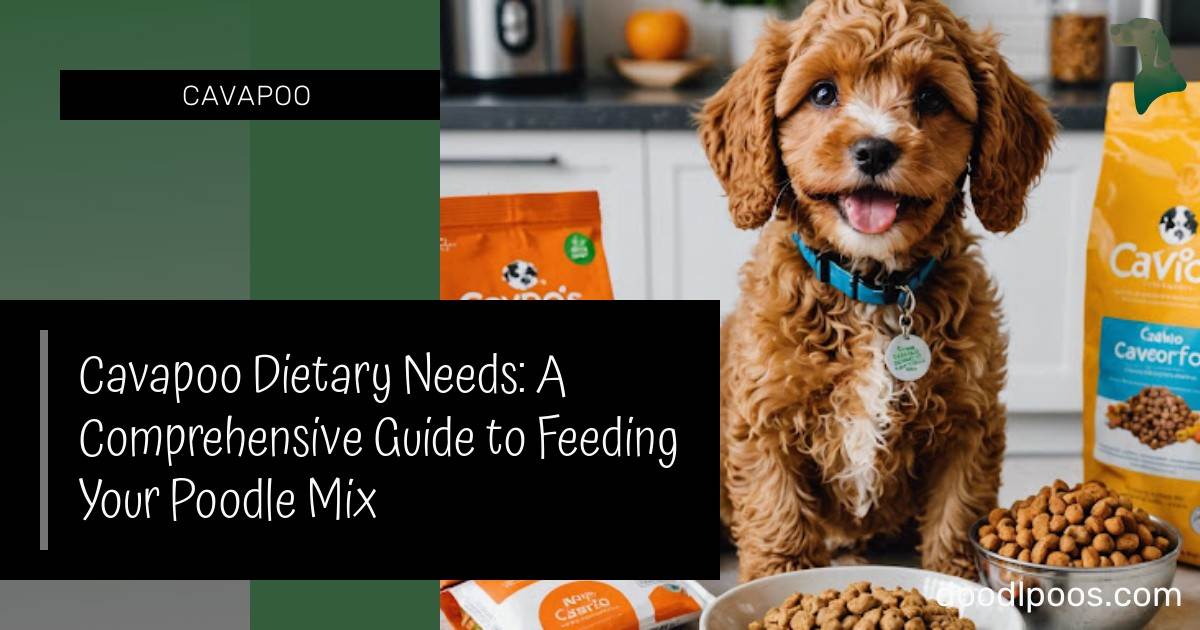 Cavapoo Dietary Needs: A Comprehensive Guide to Feeding Your Poodle Mix