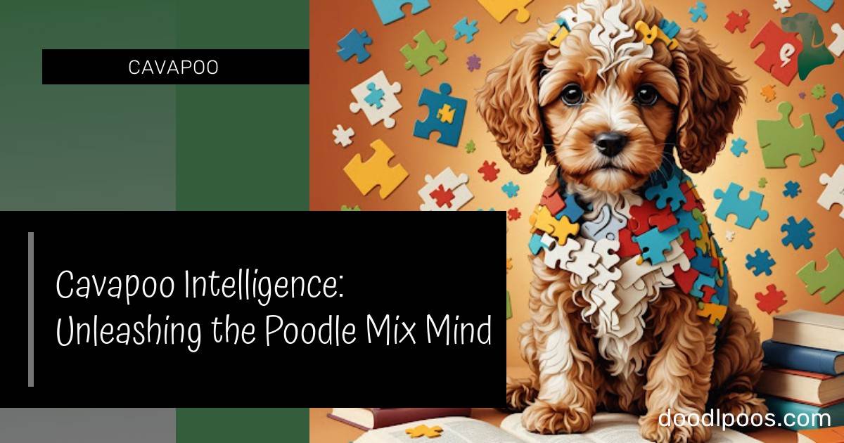 Cavapoo Intelligence: Unleashing the Poodle Mix Mind