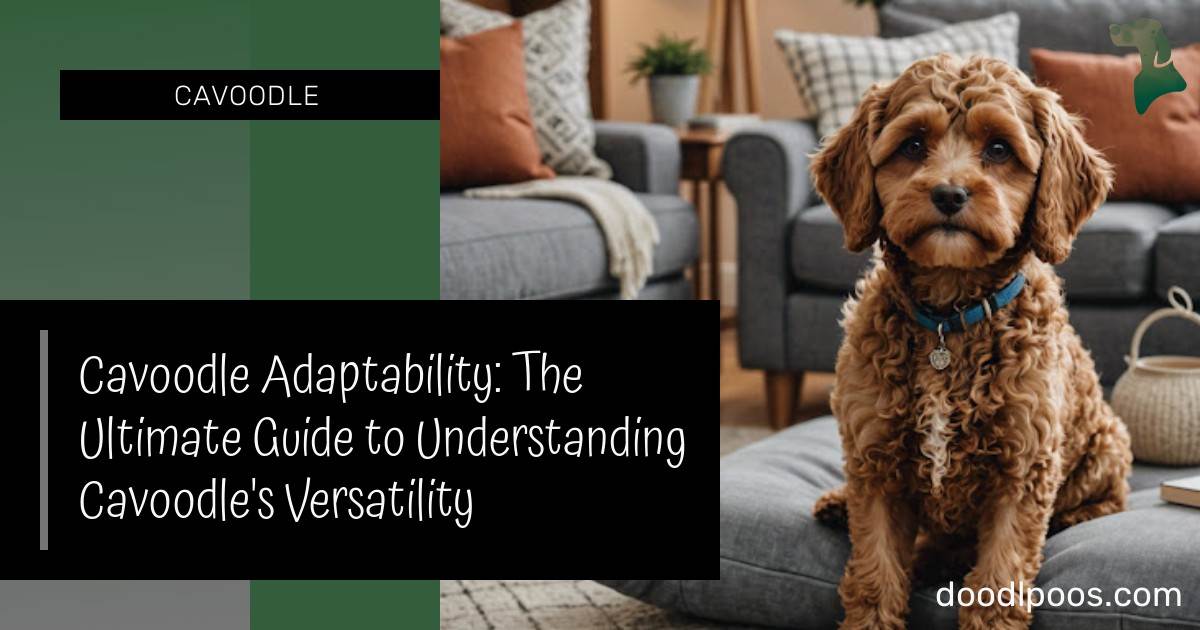 Cavoodle Adaptability: The Ultimate Guide to Understanding Cavoodle's ...