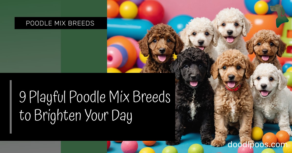 9 Playful Poodle Mix Breeds to Brighten Your Day