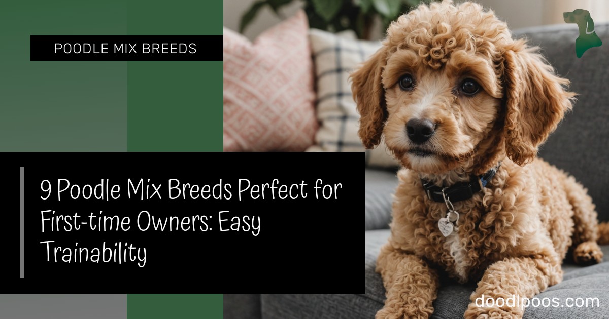 9 Poodle Mix Breeds Perfect for First-time Owners: Easy Trainability