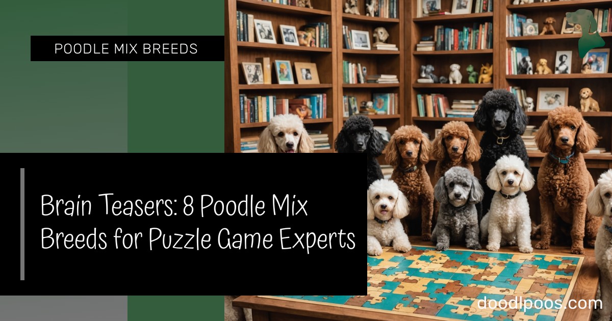 Brain Teasers: 8 Poodle Mixes for Puzzle Game Experts