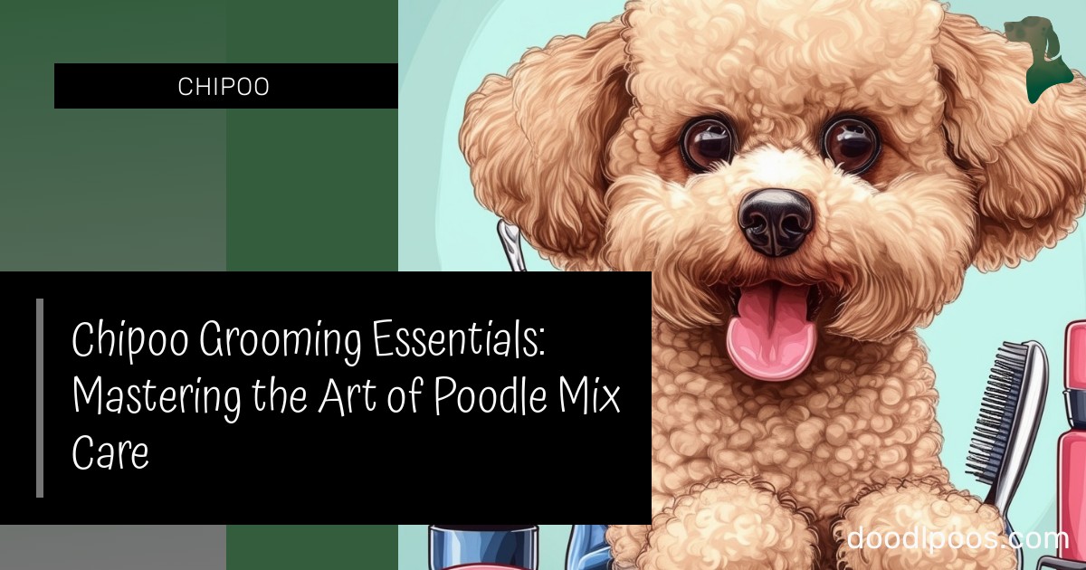Chipoo Grooming Essentials: Mastering the Art of Poodle Mix Care