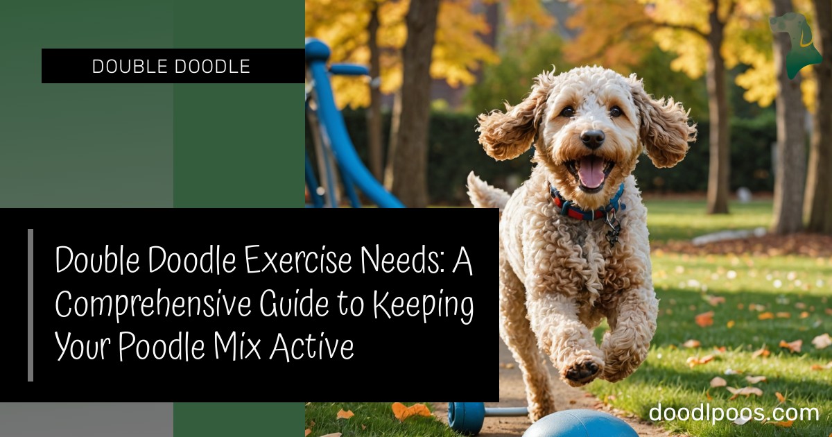 Double Doodle Exercise Needs: A Comprehensive Guide to Keeping Your ...