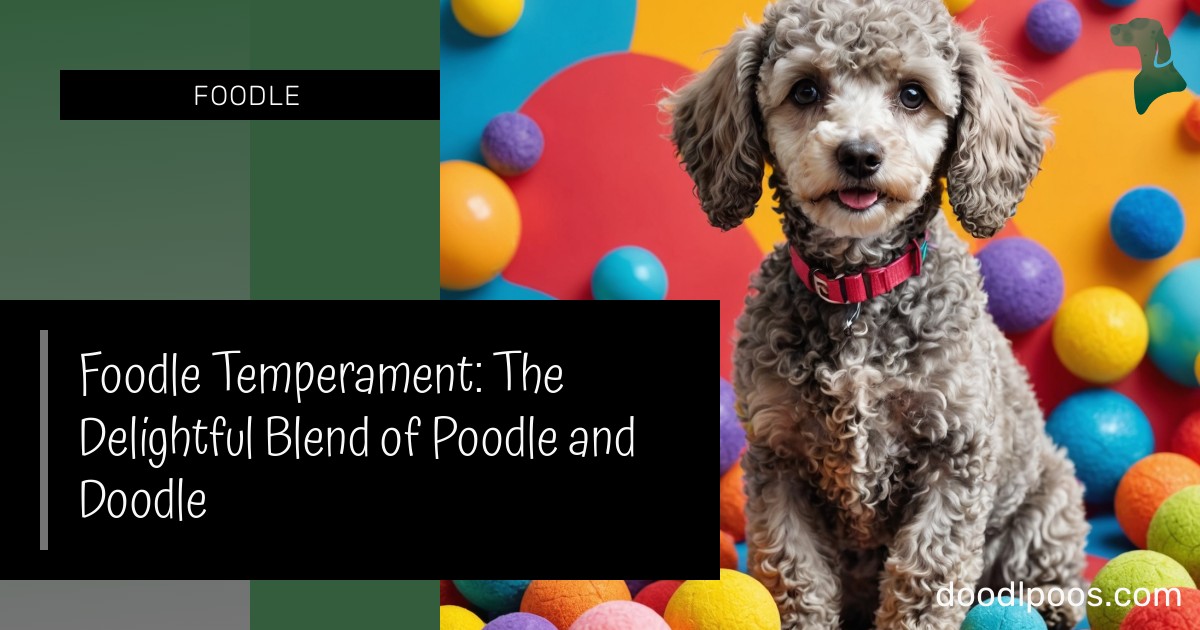 Foodle Temperament: The Delightful Blend of Poodle and Doodle