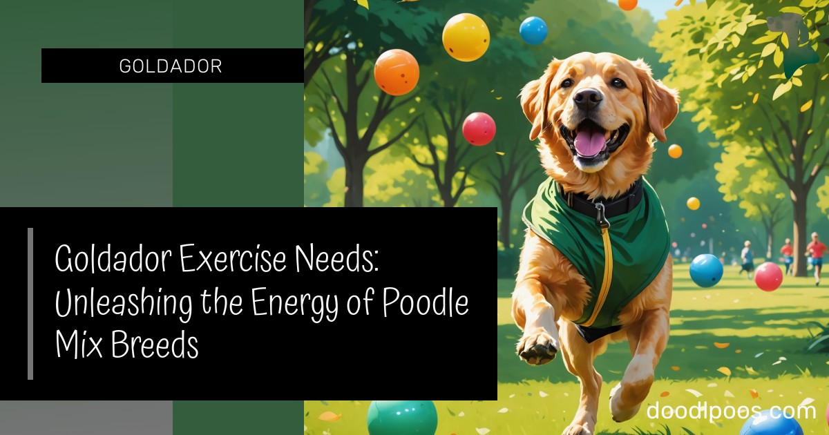Goldador Exercise Needs: Unleashing the Energy of Poodle Mix Breeds Goldador Exercise Needs: Unleashing the Energy of Poodle Mix Breeds