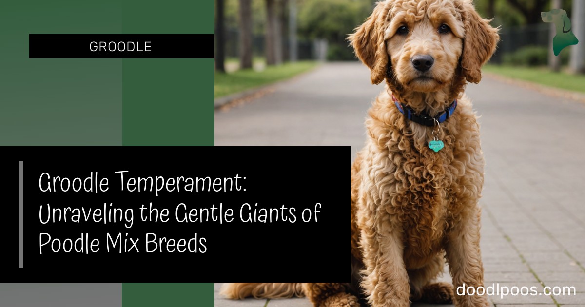 Groodle Temperament: Unraveling the Gentle Giants of Poodle Mix Breeds